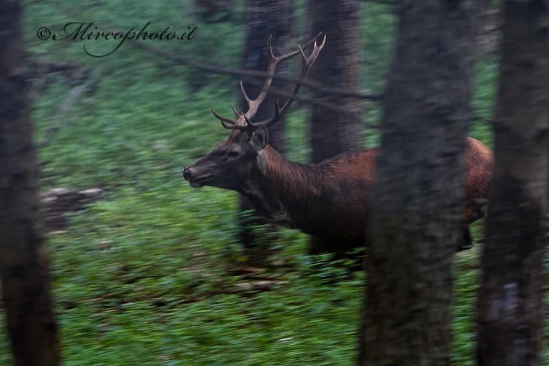 26th September 2020 - SHOOTING THE SUNSET WHILE LISTENING TO THE ...