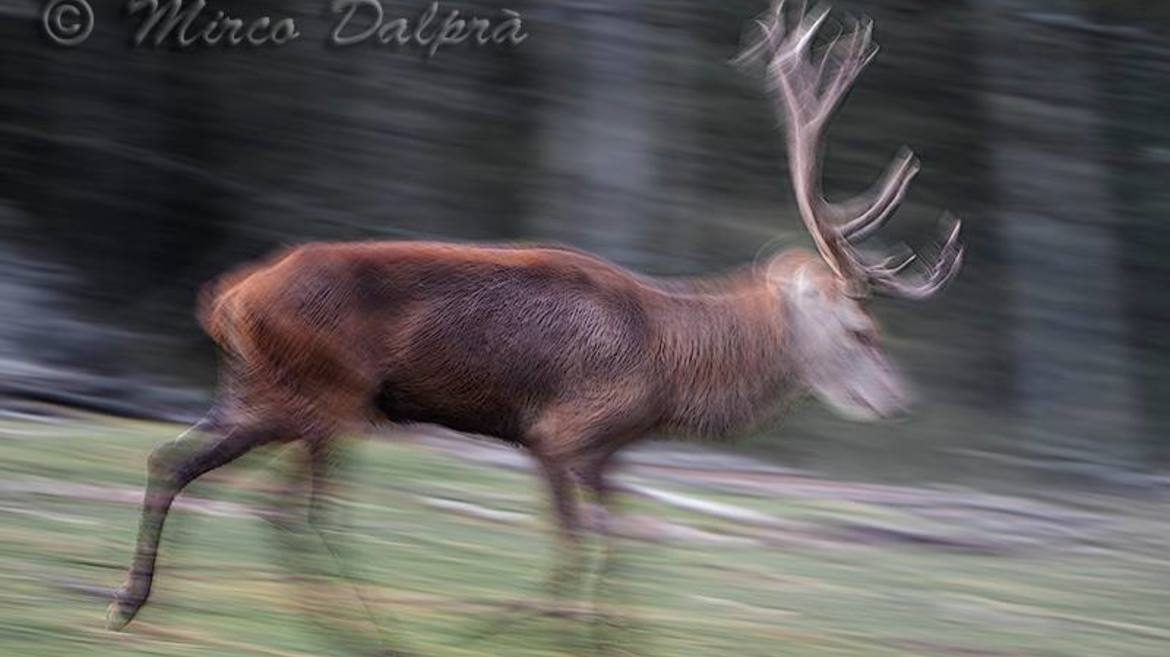 26th September 2020 - SHOOTING THE SUNSET WHILE LISTENING TO THE ...