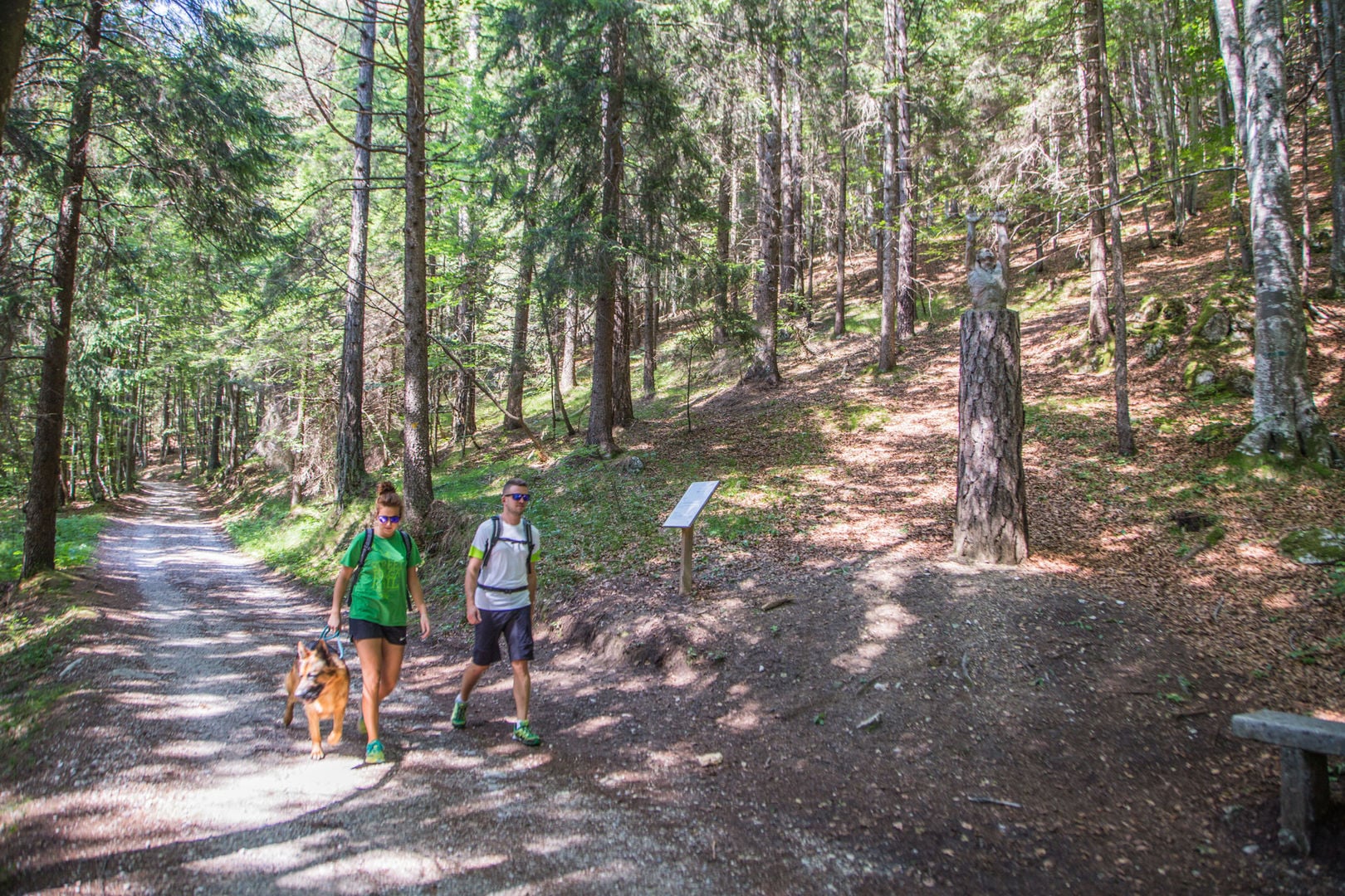 The Breath of Trees - Azienda per il turismo Alpe Cimbra Folgaria ...