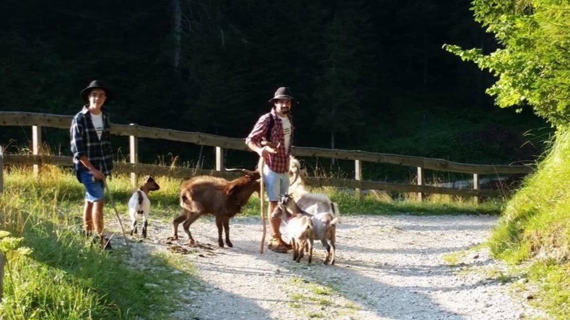 Trekking with Goats - Azienda per il turismo Alpe Cimbra Folgaria ...
