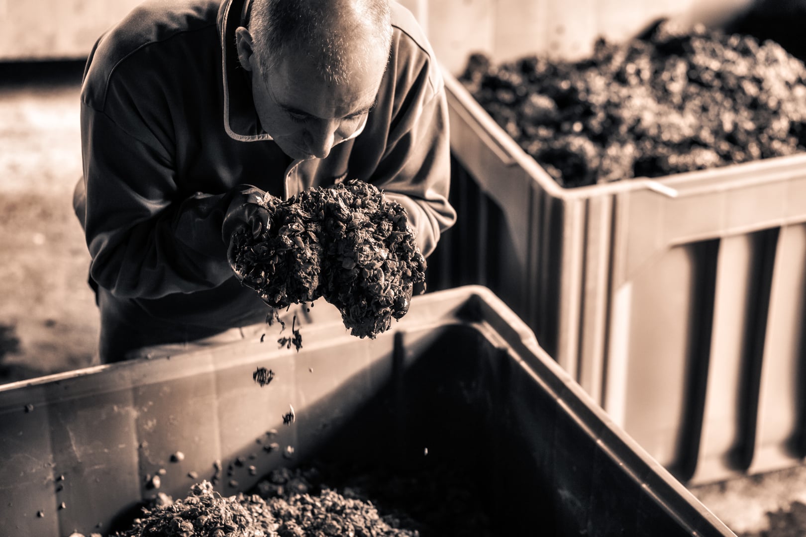 Distilleria Bailoni - Azienda per il turismo Alpe Cimbra Folgaria ...